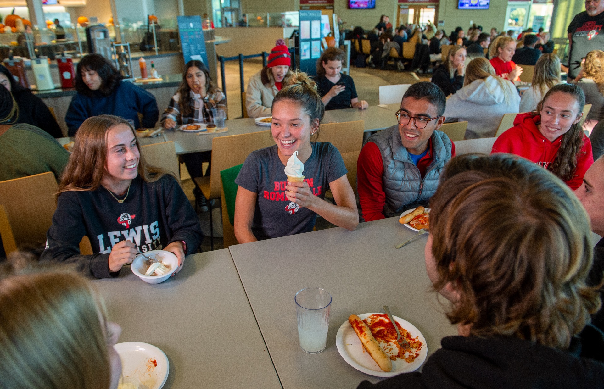 10885001 Lewis University Building