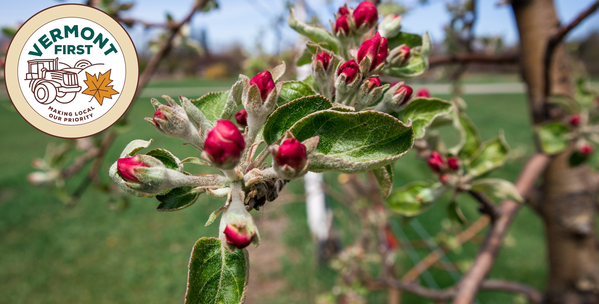 VermontFirstHero | Vermont Technical College