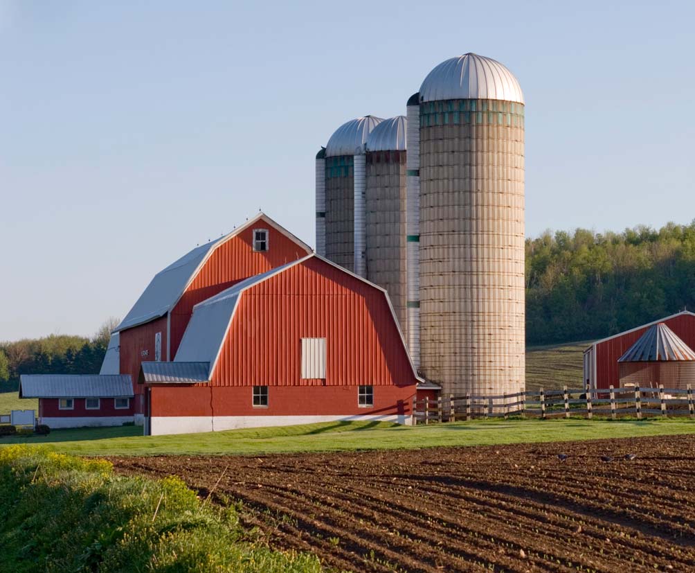 See what we are doing to fight hunger